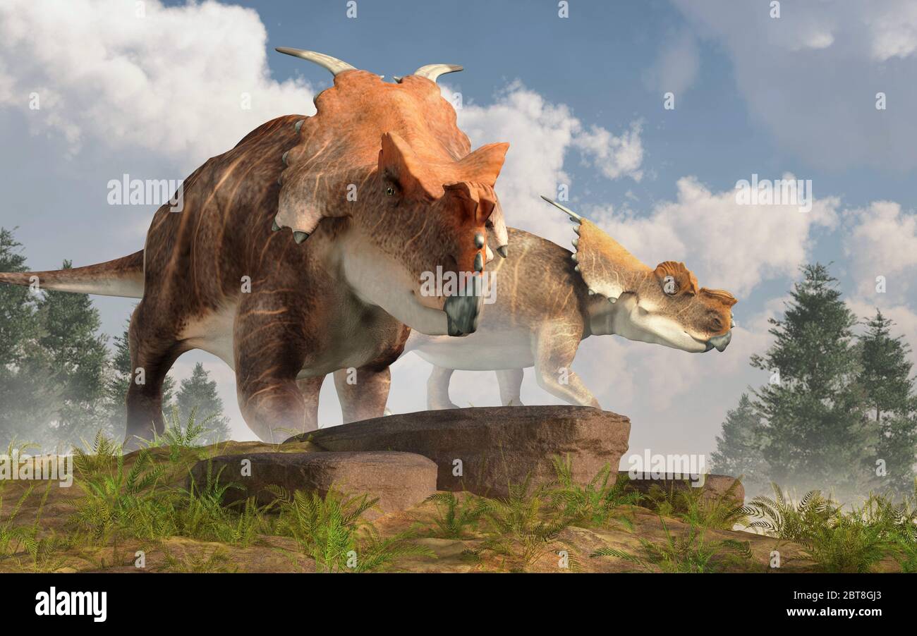 Achelousaurus was a Cretaceous era dinosaur. A cousin of the ...