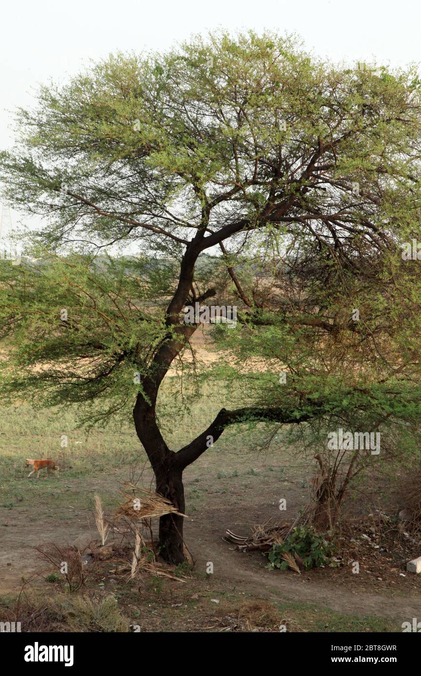 Beautiful Landscape, Village Surrounded by Greenery Mountain, Indian ...