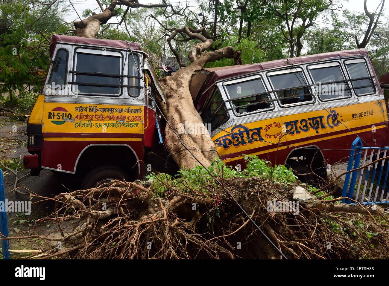 Tree hit bus hi-res stock photography and images - Alamy