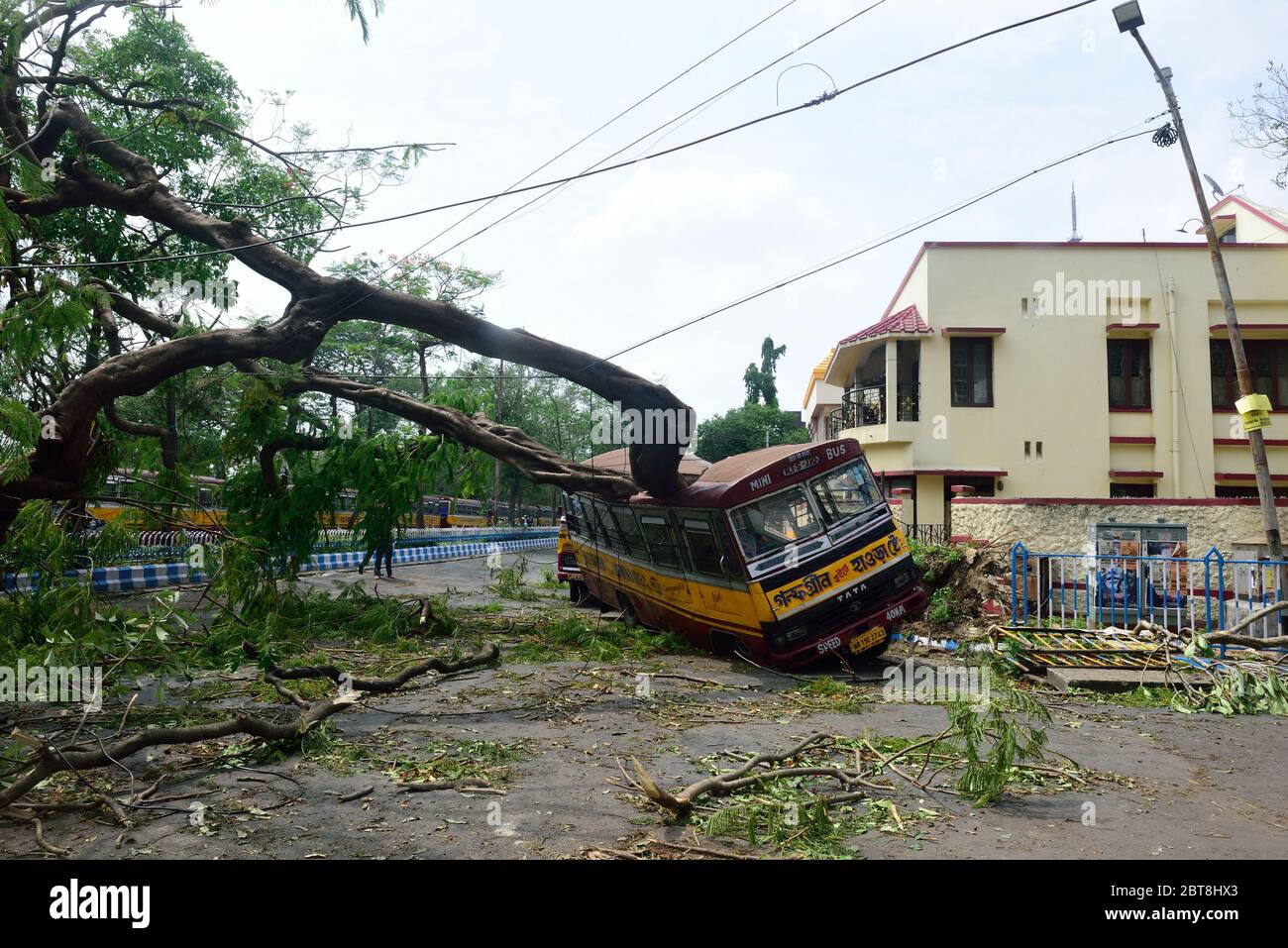 Tree hit bus hi-res stock photography and images - Alamy