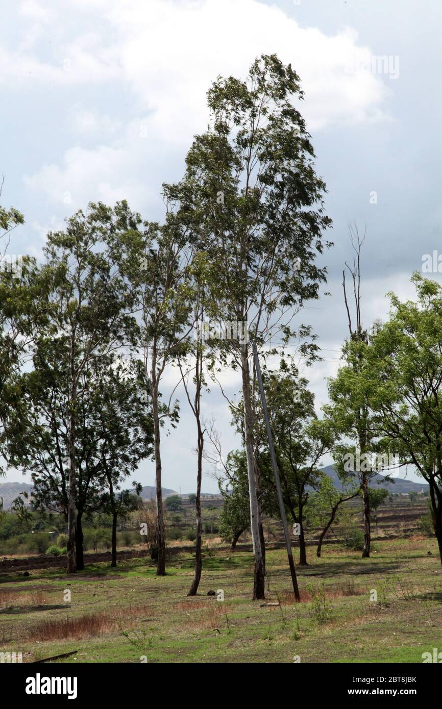 Beautiful Landscape, Village Surrounded by Greenery Mountain, Indian ...
