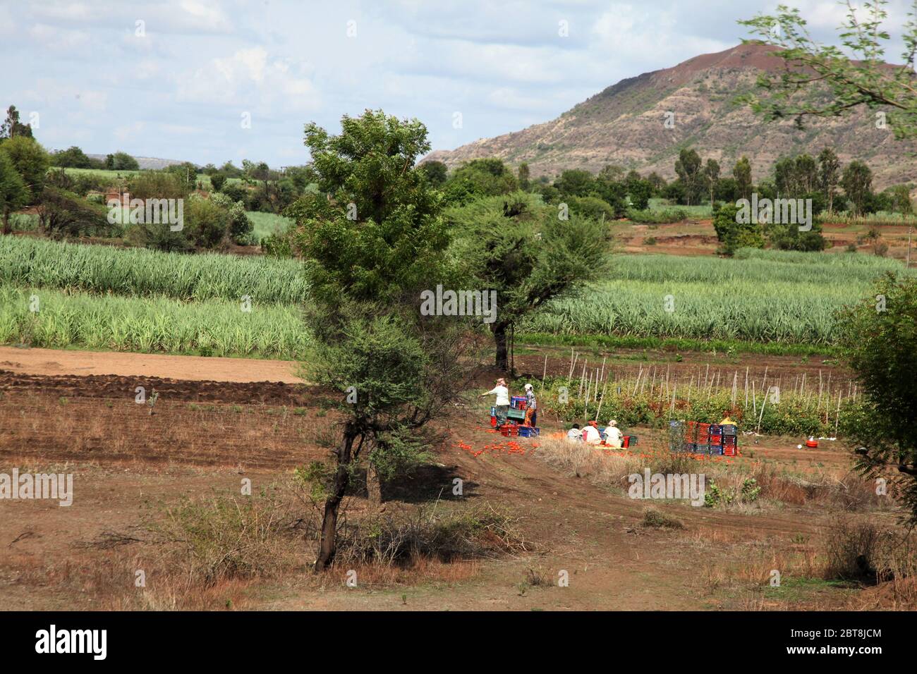 Beautiful Landscape, Village Surrounded by Greenery Mountain, Indian ...