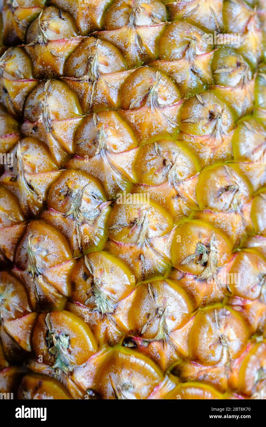 Pineapple skin texture used for the background Stock Photo - Alamy
