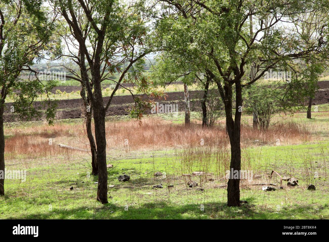 Beautiful Landscape, Village Surrounded by Greenery Mountain, Indian ...
