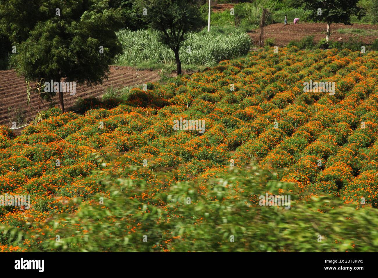 Beautiful Landscape, Village Surrounded by Greenery Mountain, Indian ...