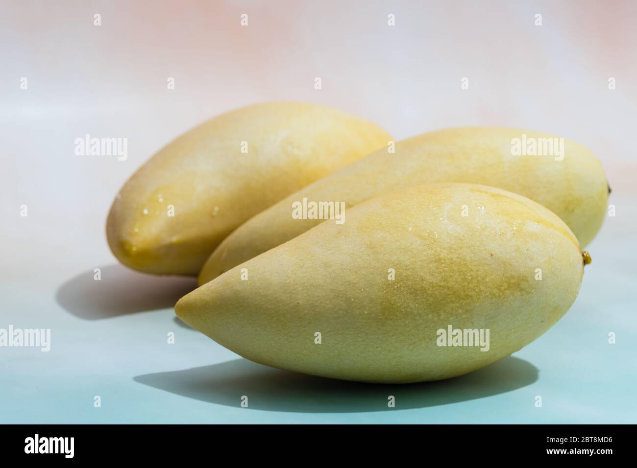 Fresh mango fruit on a light blue background with copy space Stock ...
