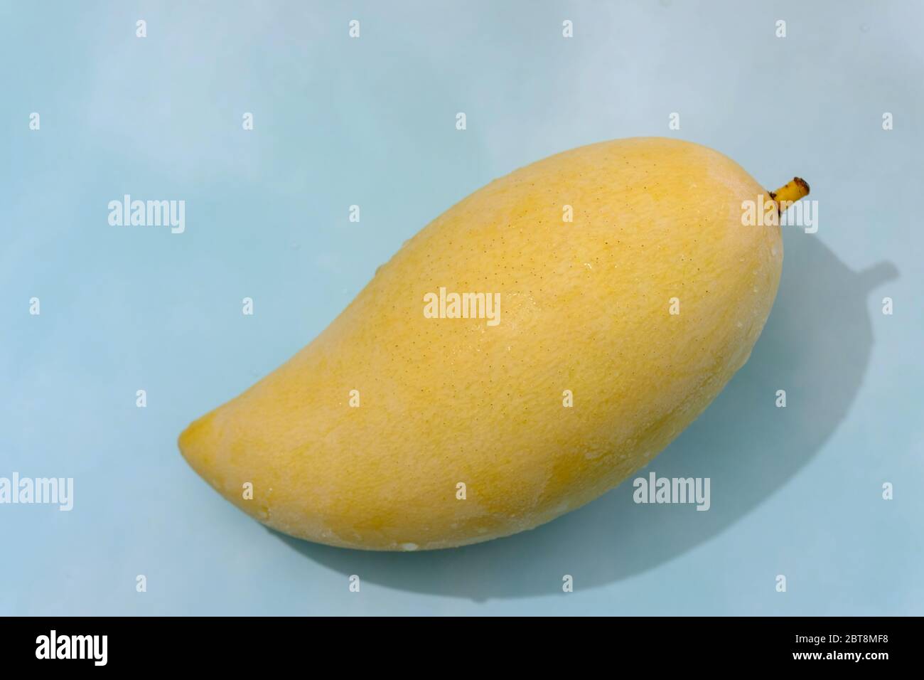 Fresh mango fruit on a light blue background with copy space Stock ...
