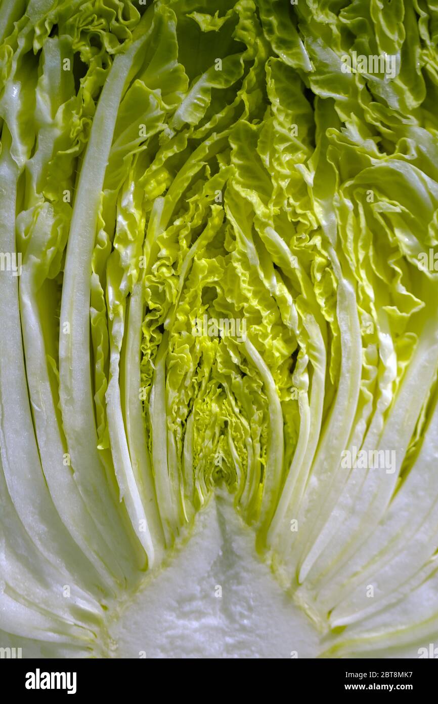 White chinese cabbage organic hi-res stock photography and images - Alamy
