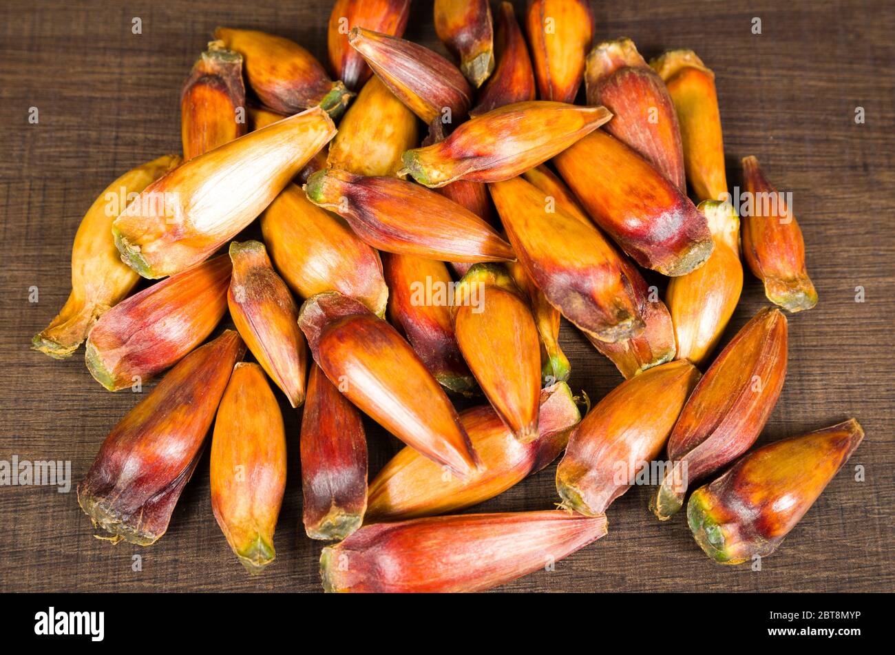 Pinion, traditional Brazilian food, seed of the auraucaria Stock Photo ...