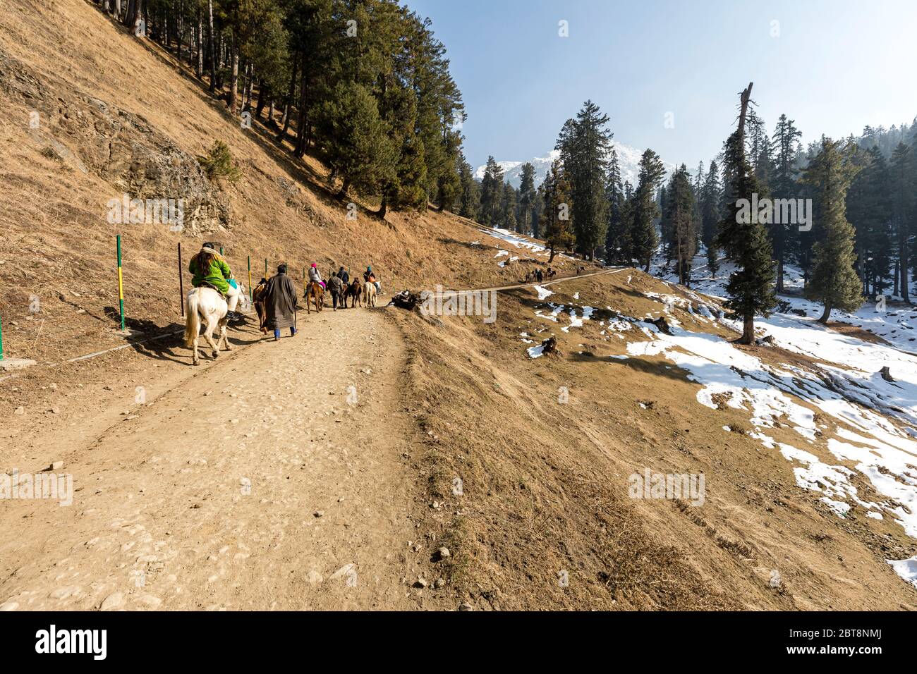 Group of tourists trek on horses to the popular hill station of ...
