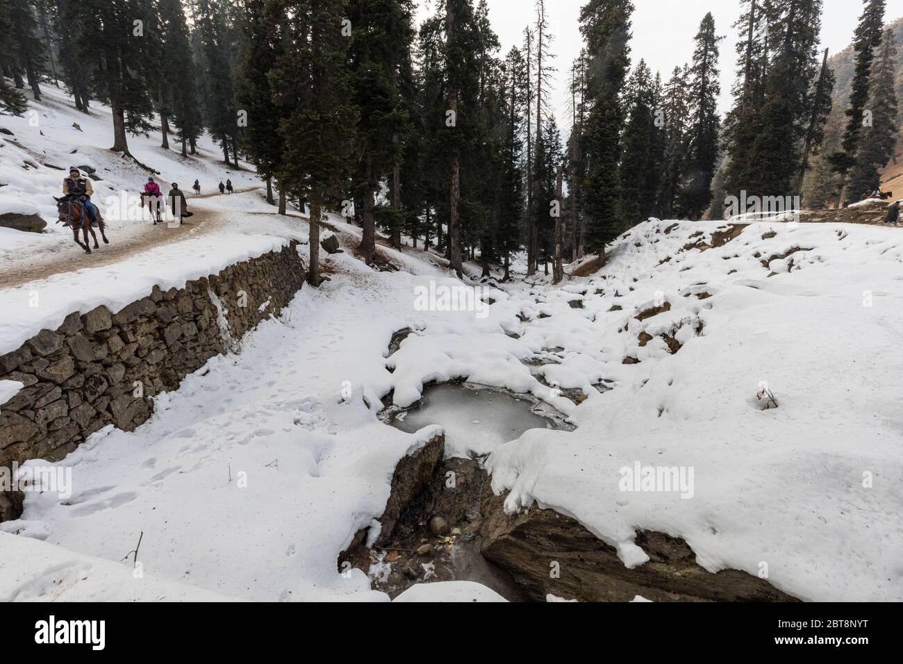 Tourists trek through snow to the hill station of Pahalgam in the state ...