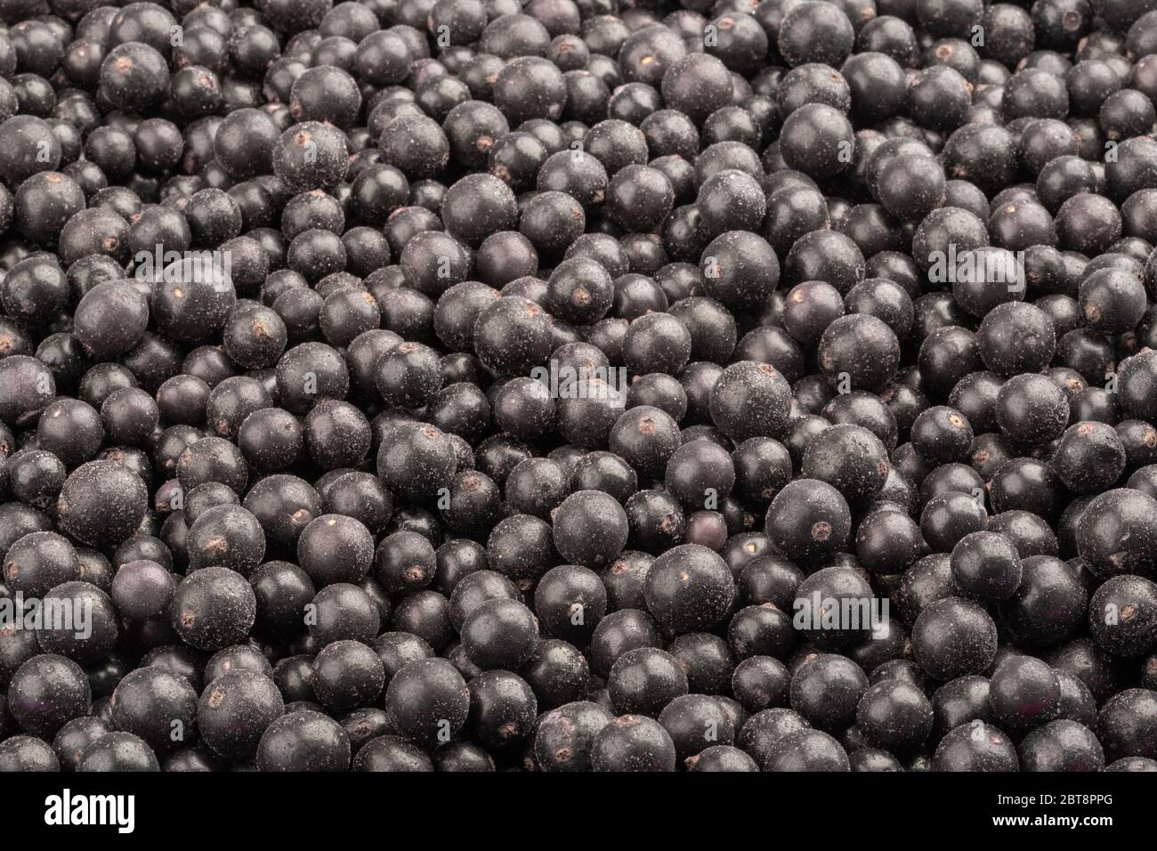 Frozen fresh black currant. Food background. Top view Stock Photo - Alamy