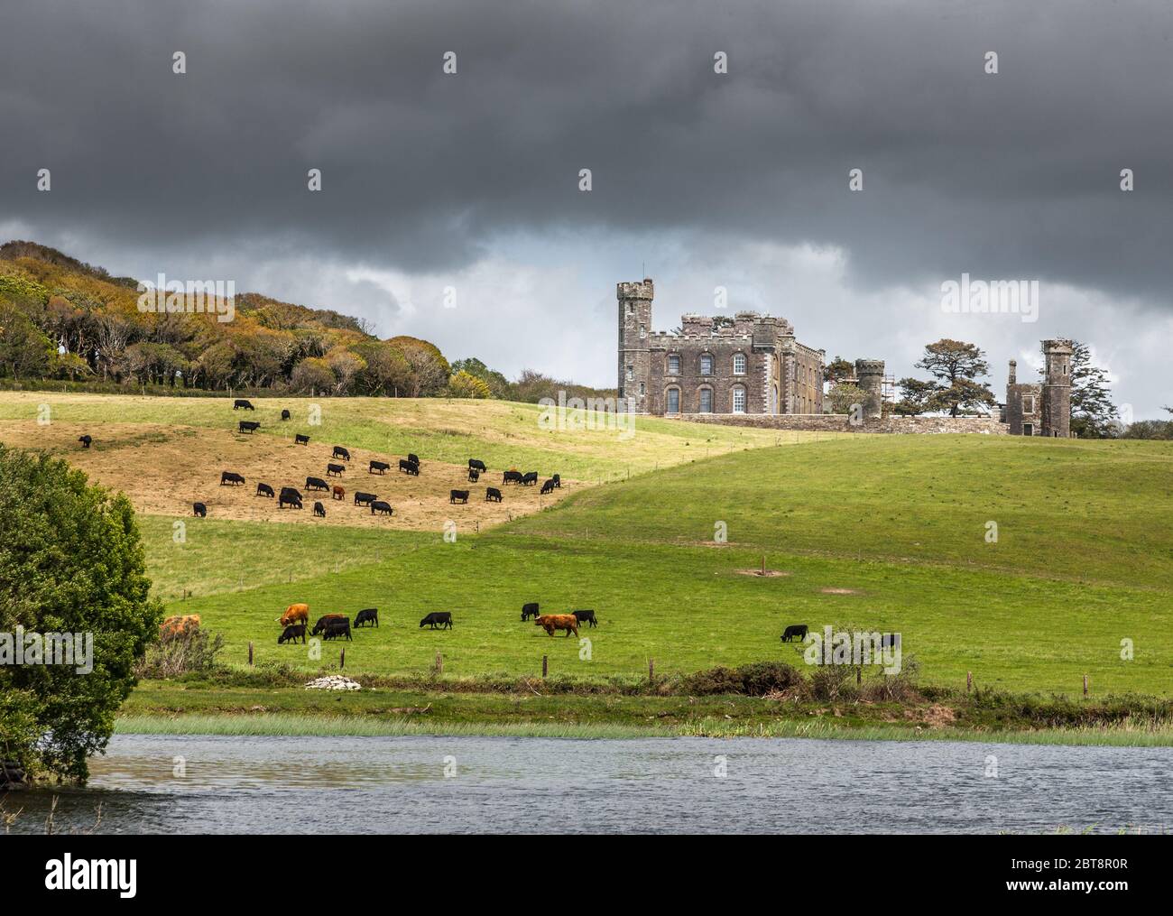 Castlefreke trails hi-res stock photography and images - Alamy