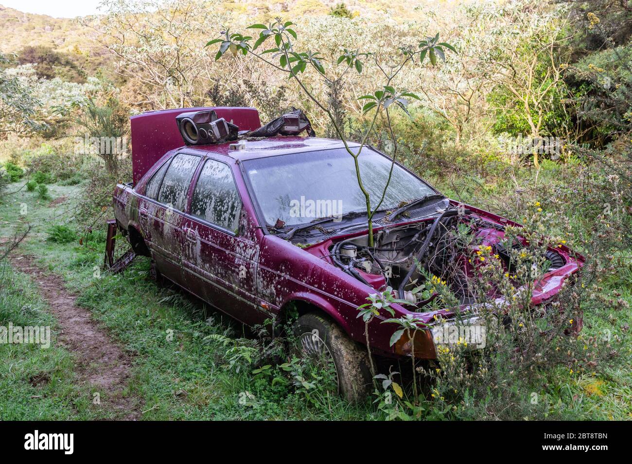 An abandoned car has vegetation growing out of it Stock Photo - Alamy