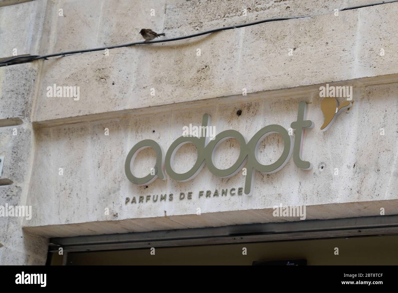 Adopt and name hi-res stock photography and images - Alamy