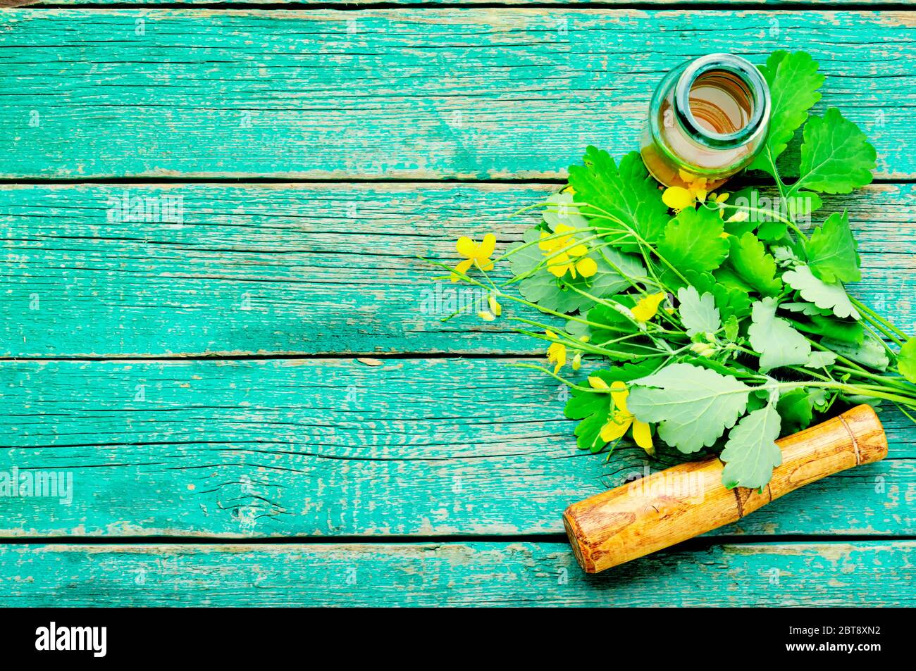 Extract or tincture from a celandine plant.Healing plants Stock Photo ...