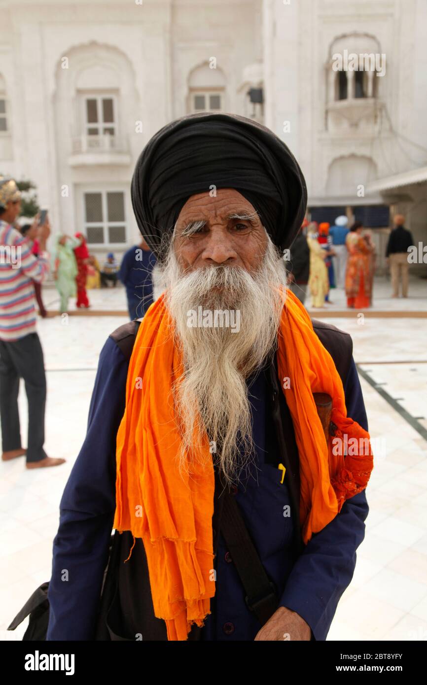 Portrait of a Sikh man, Portrait of Indian Sikh man in turban with ...