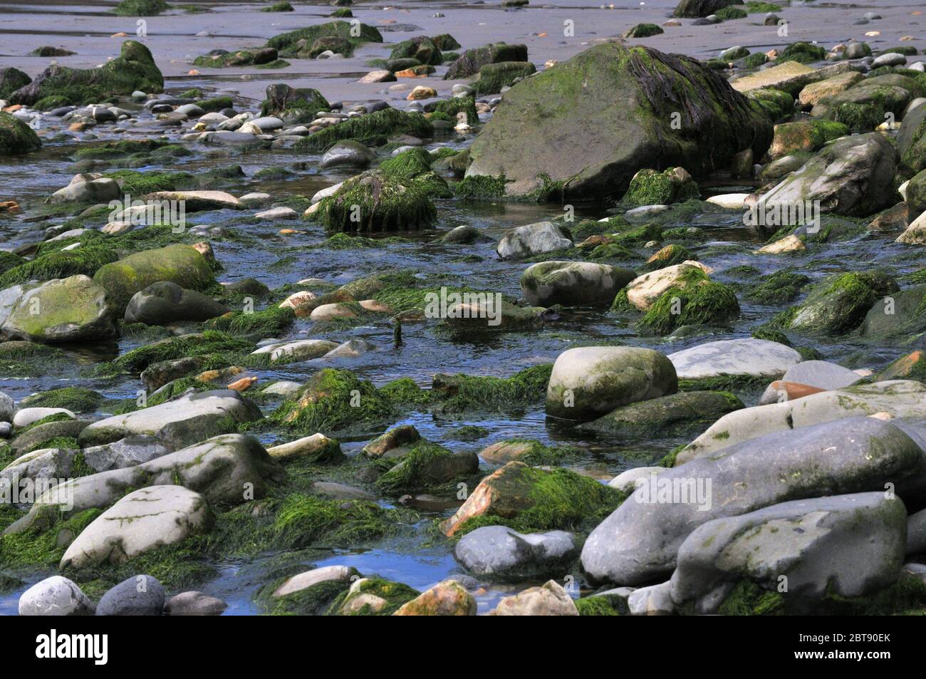Low Tide at The Beach Stock Photo - Alamy
