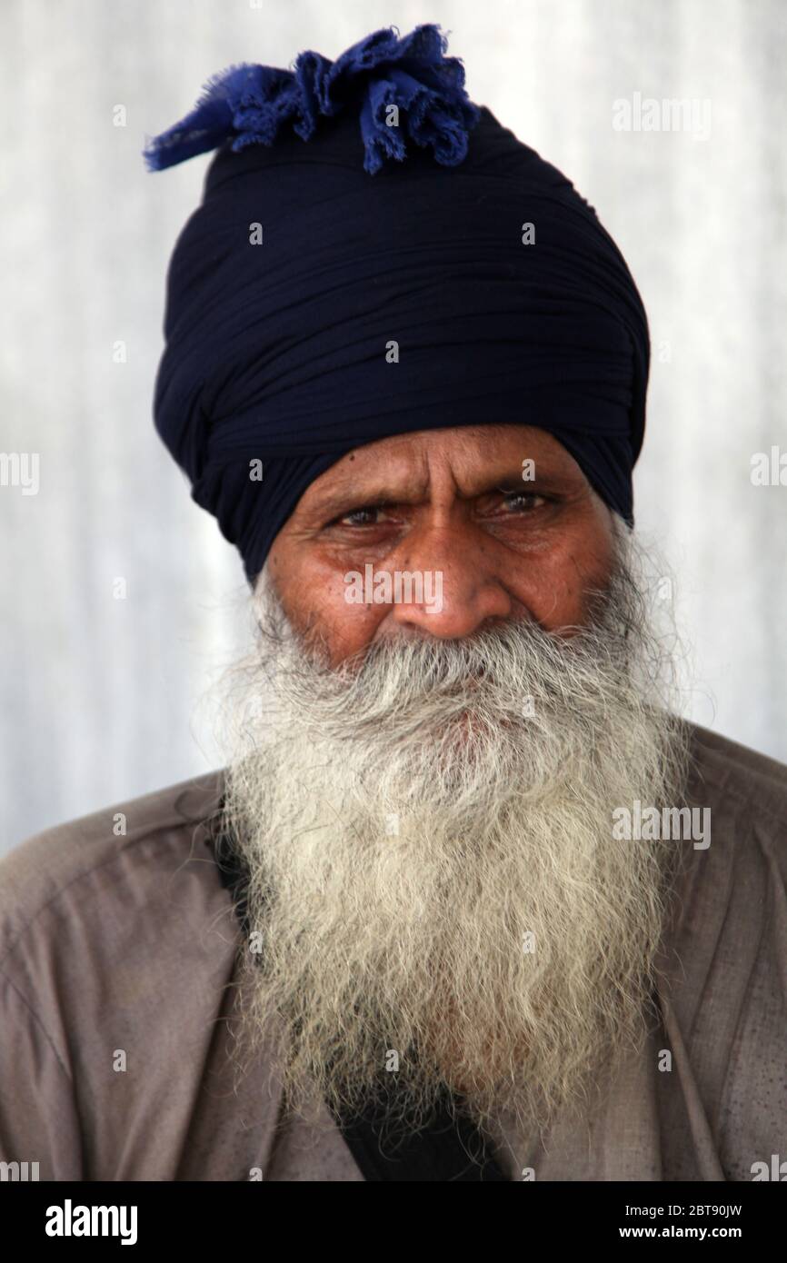 Portrait of a Sikh man, Portrait of Indian Sikh man in turban with ...