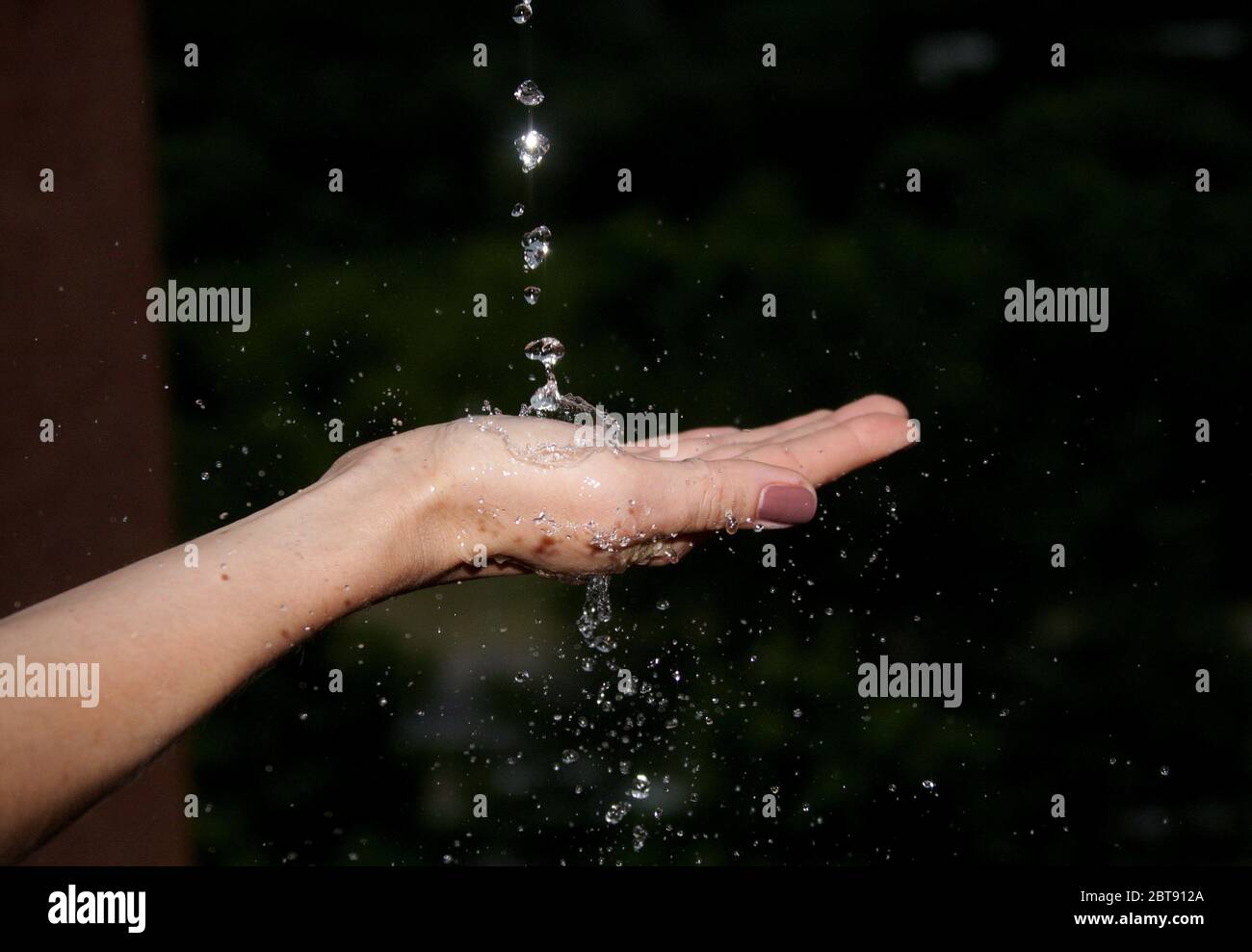 Hold rainwater hi-res stock photography and images - Alamy
