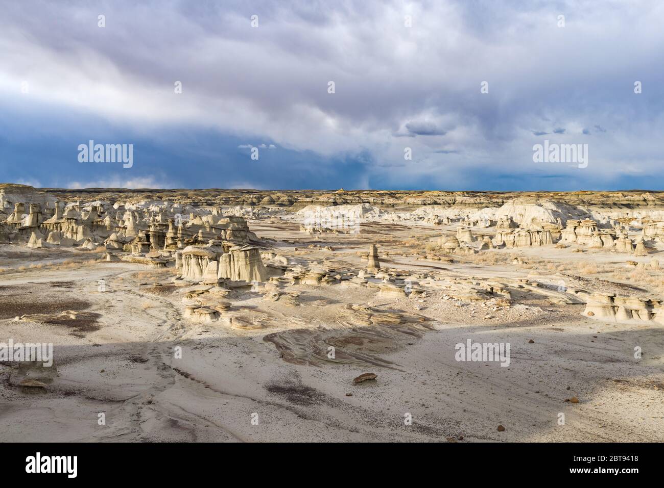 Bisti or De-Na-Zin Wilderness Area or badlands showing unique rock ...