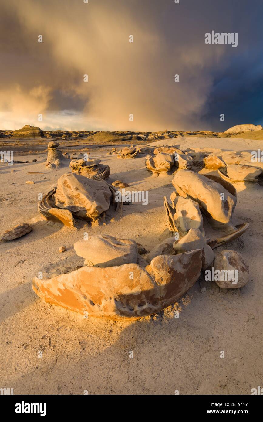 Bisti or De-Na-Zin Wilderness Area or badlands showing unique rock ...