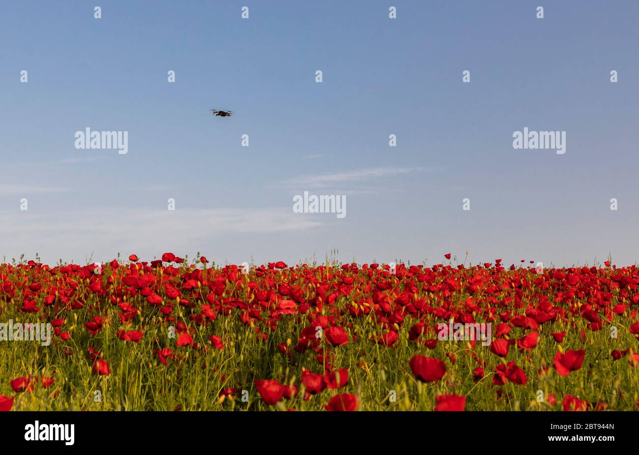Drone poppy field hi-res stock photography and images - Alamy