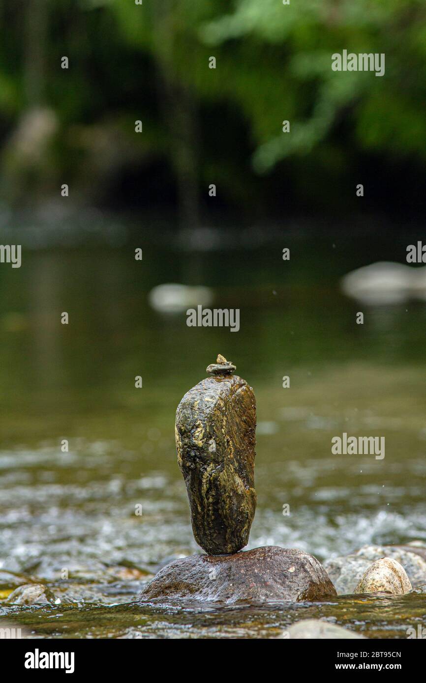 Zen 4 hi-res stock photography and images - Alamy