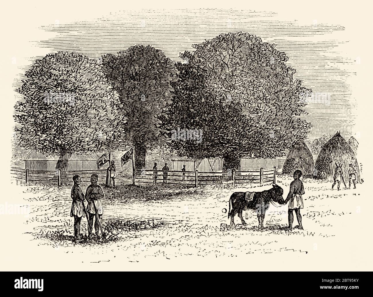 Adventurer painting hi-res stock photography and images - Alamy