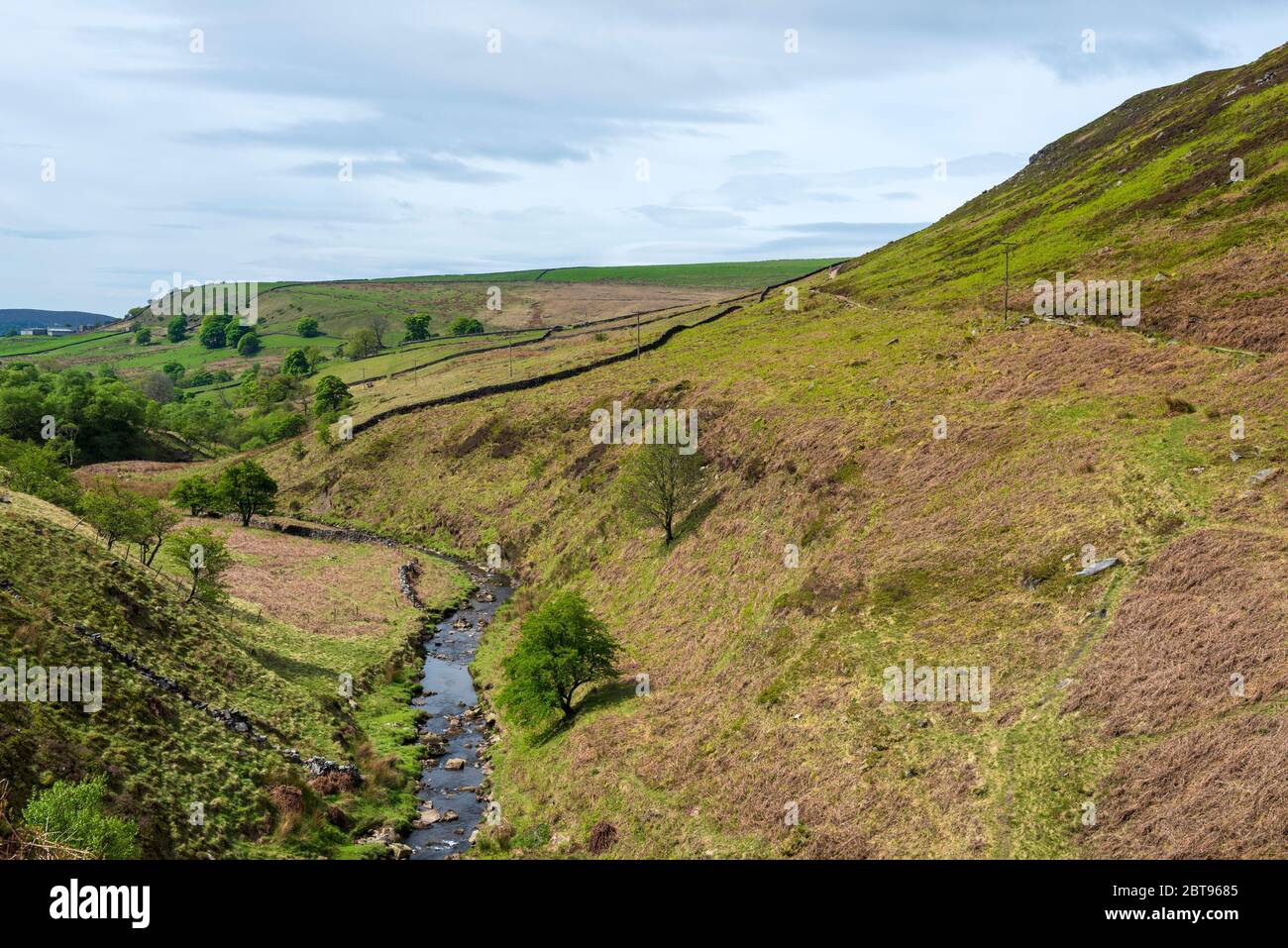 British moor hi-res stock photography and images - Alamy