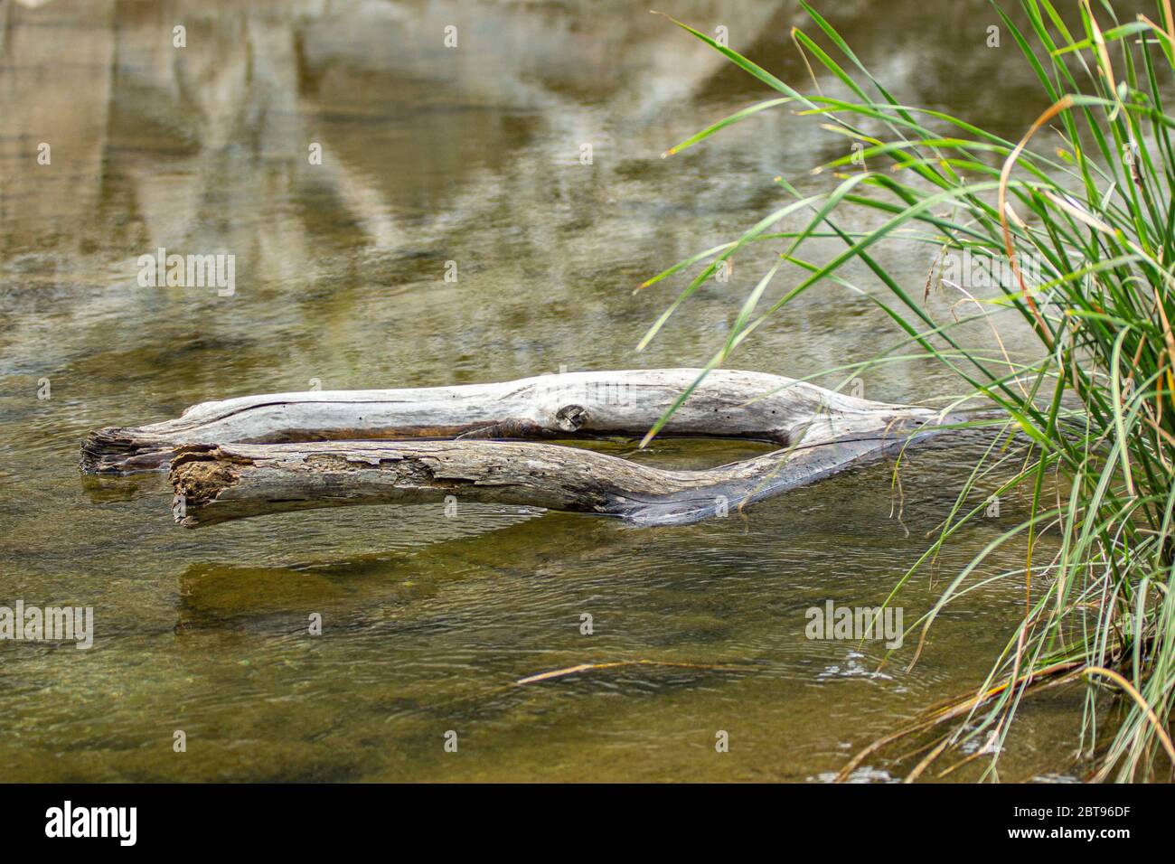 Dripstone beach hi-res stock photography and images - Alamy