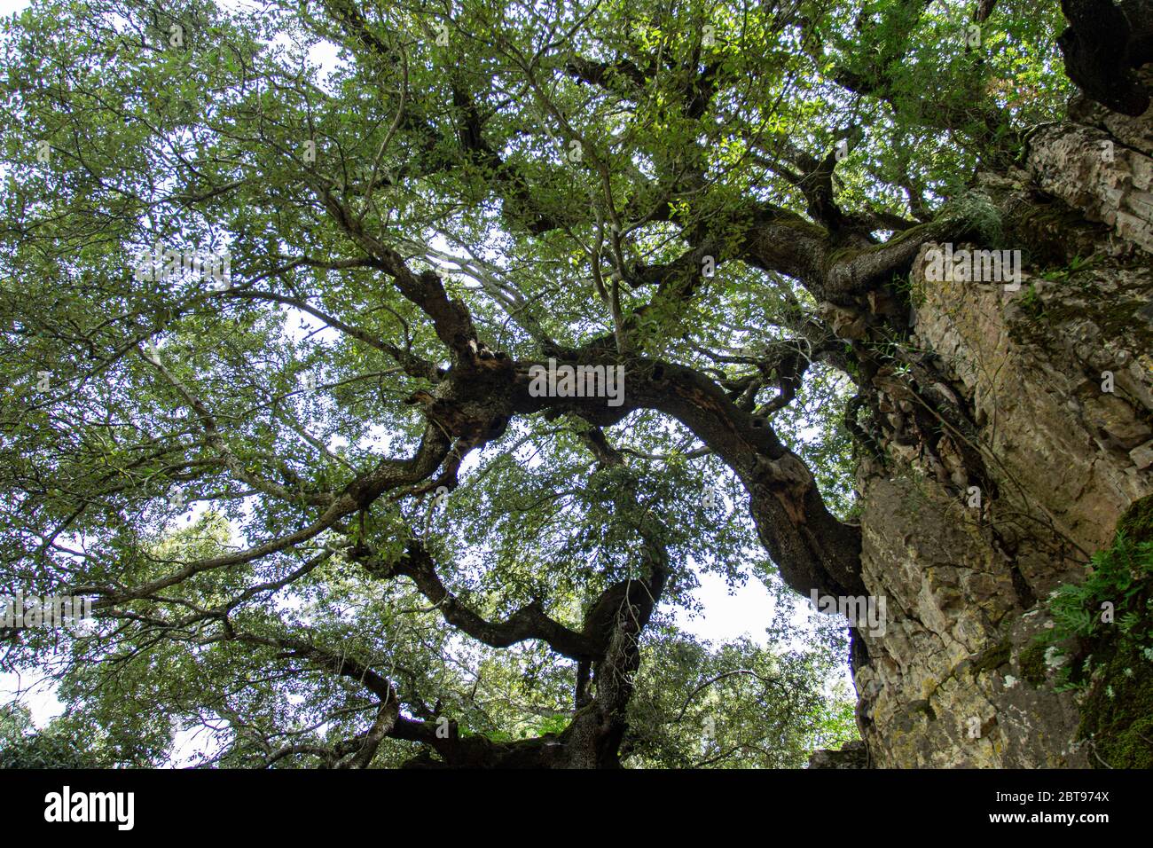 Secular field hi-res stock photography and images - Alamy