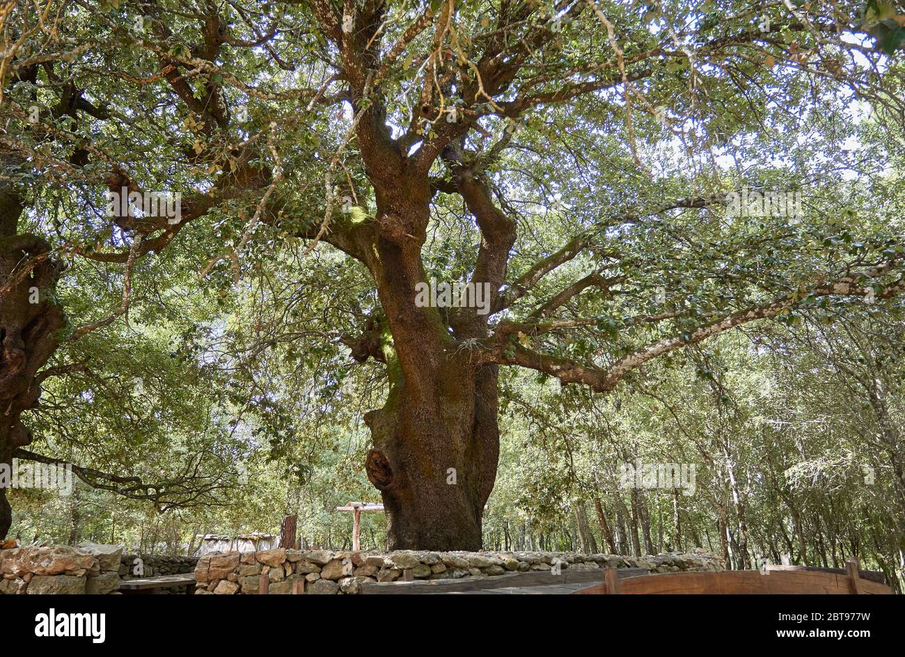 Secular field hi-res stock photography and images - Alamy