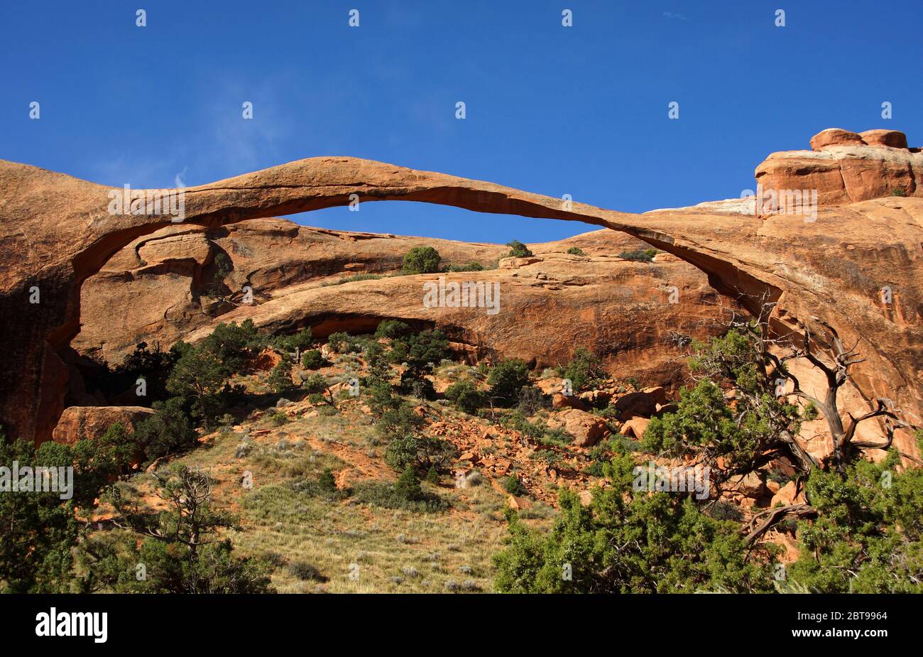 Moab desert hi-res stock photography and images - Alamy