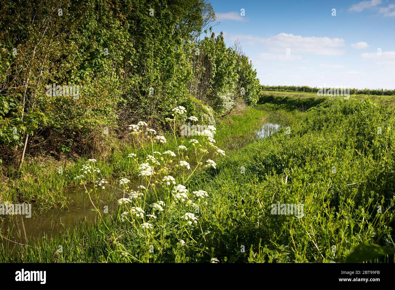 Roman ditch hi-res stock photography and images - Alamy