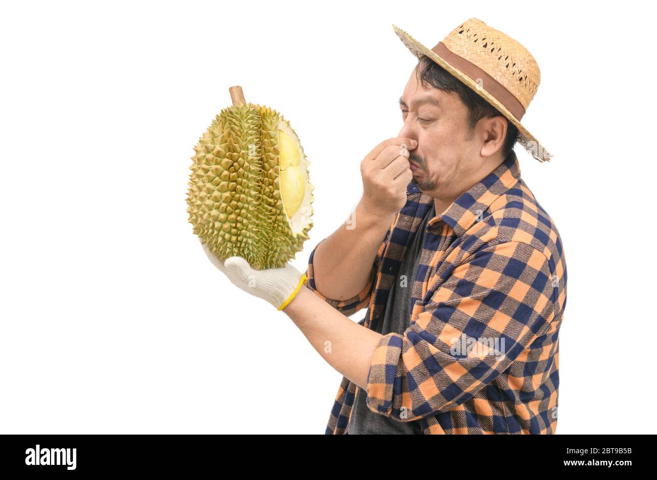 Asian farmers hold durian and use their hands to cover their nose ...