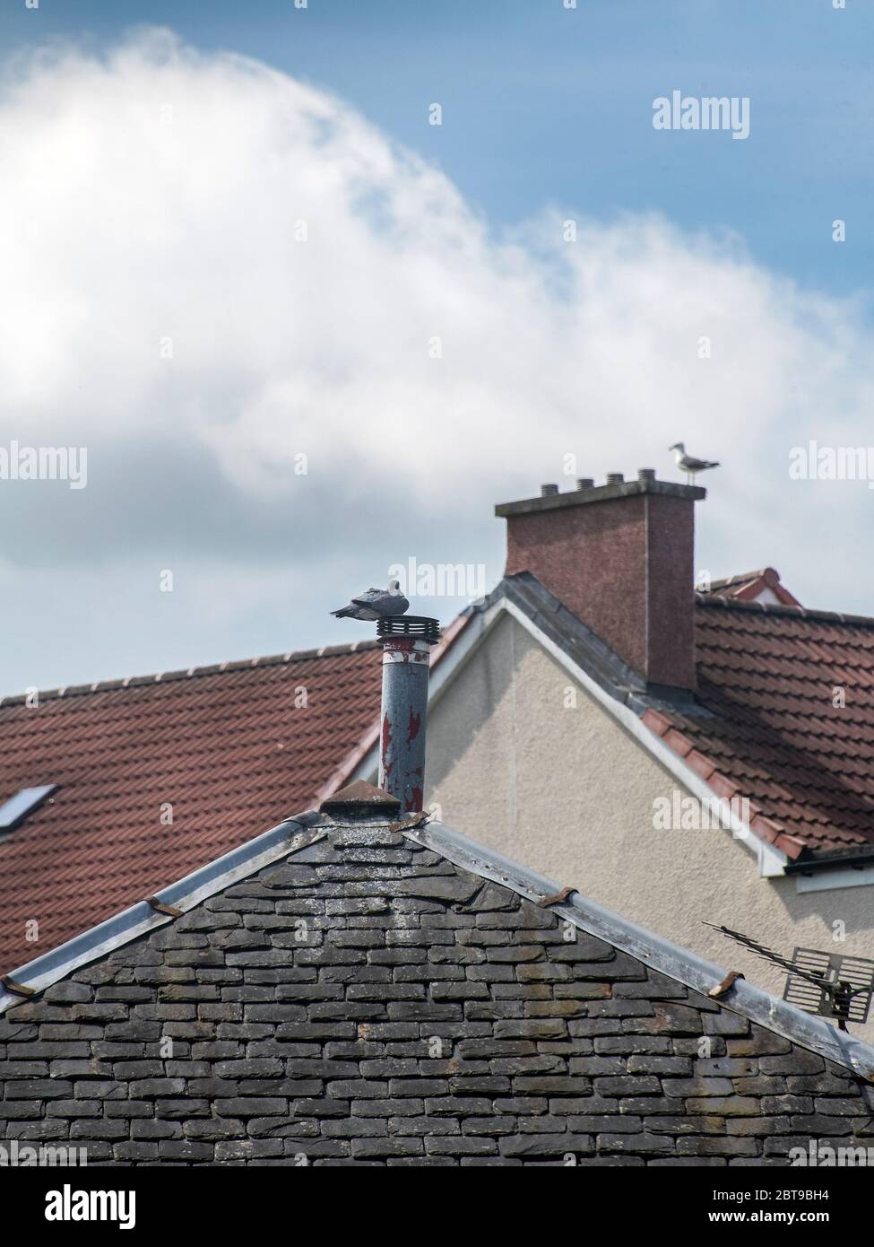 Wop May High Resolution Stock Photography and Images - Alamy