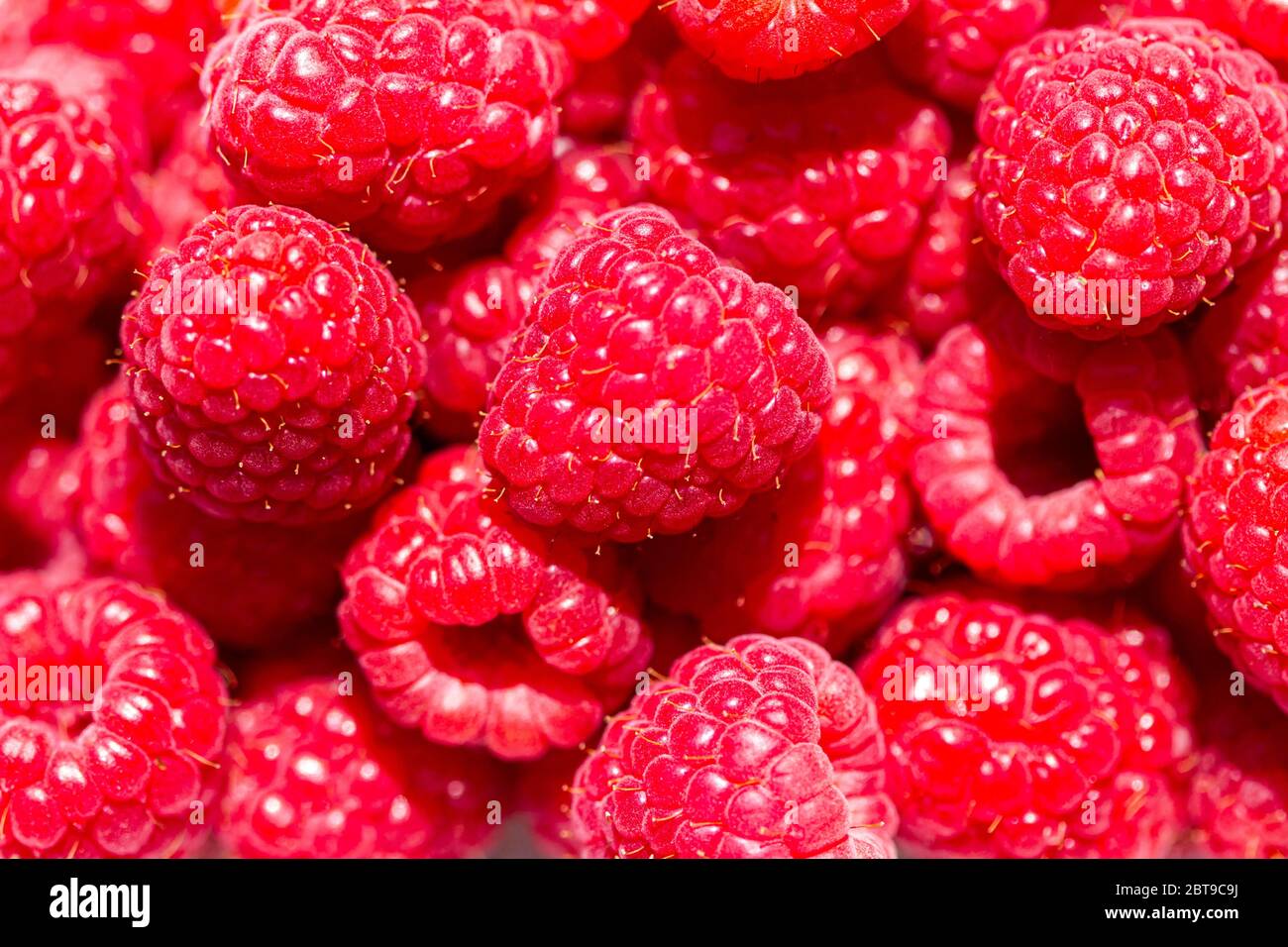 Details of ripe red raspberries Stock Photo - Alamy