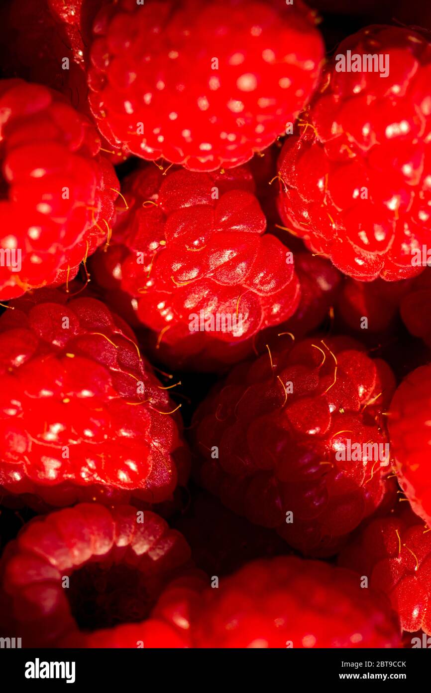 Nutrition details hi-res stock photography and images - Alamy