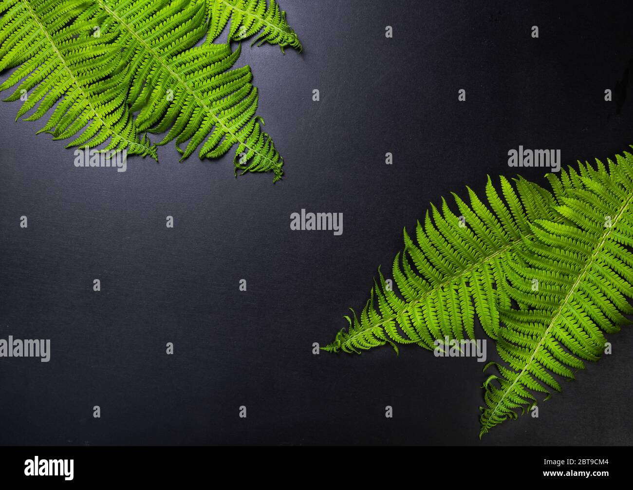 Graphite background hi-res stock photography and images - Alamy