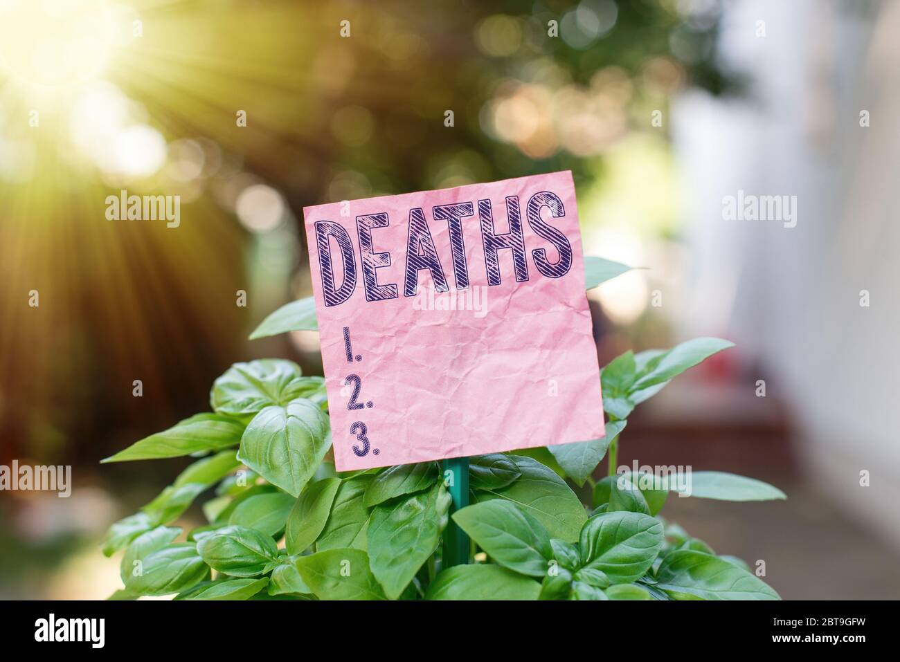 Conceptual hand writing showing Deaths. Concept meaning permanent ...