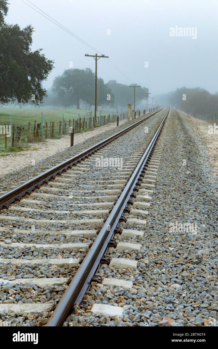 Lonely railroad track in a foggy day Stock Photo - Alamy