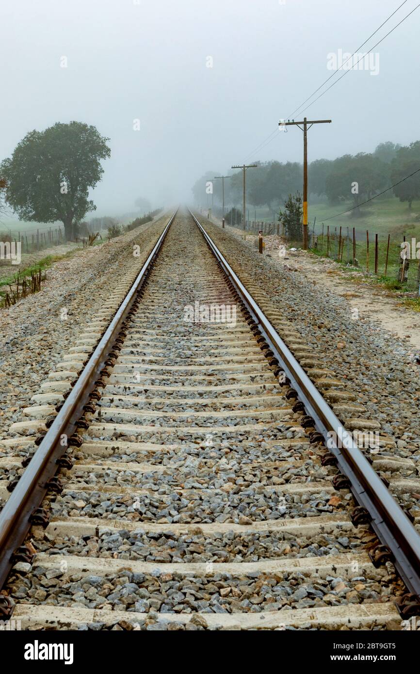 Lonely railroad track in a foggy day Stock Photo - Alamy