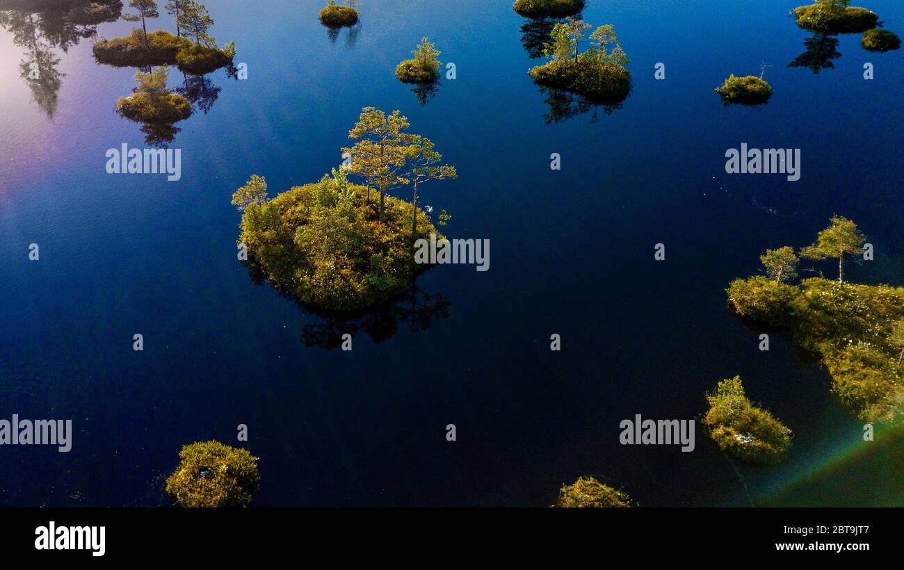 Swamp High Resolution Stock Photography and Images - Alamy