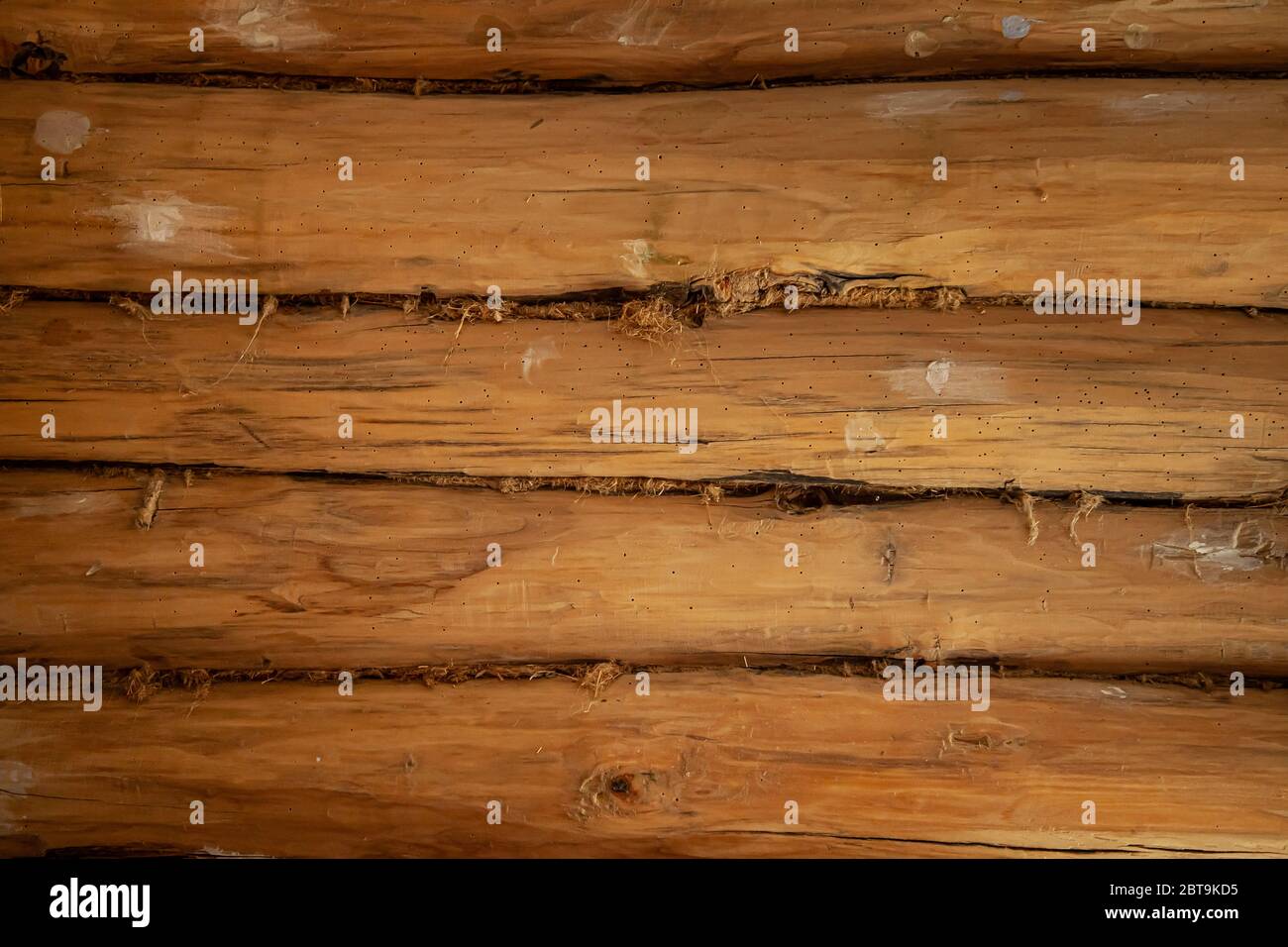 old log wall pitted by bugs. old wood texture Stock Photo - Alamy
