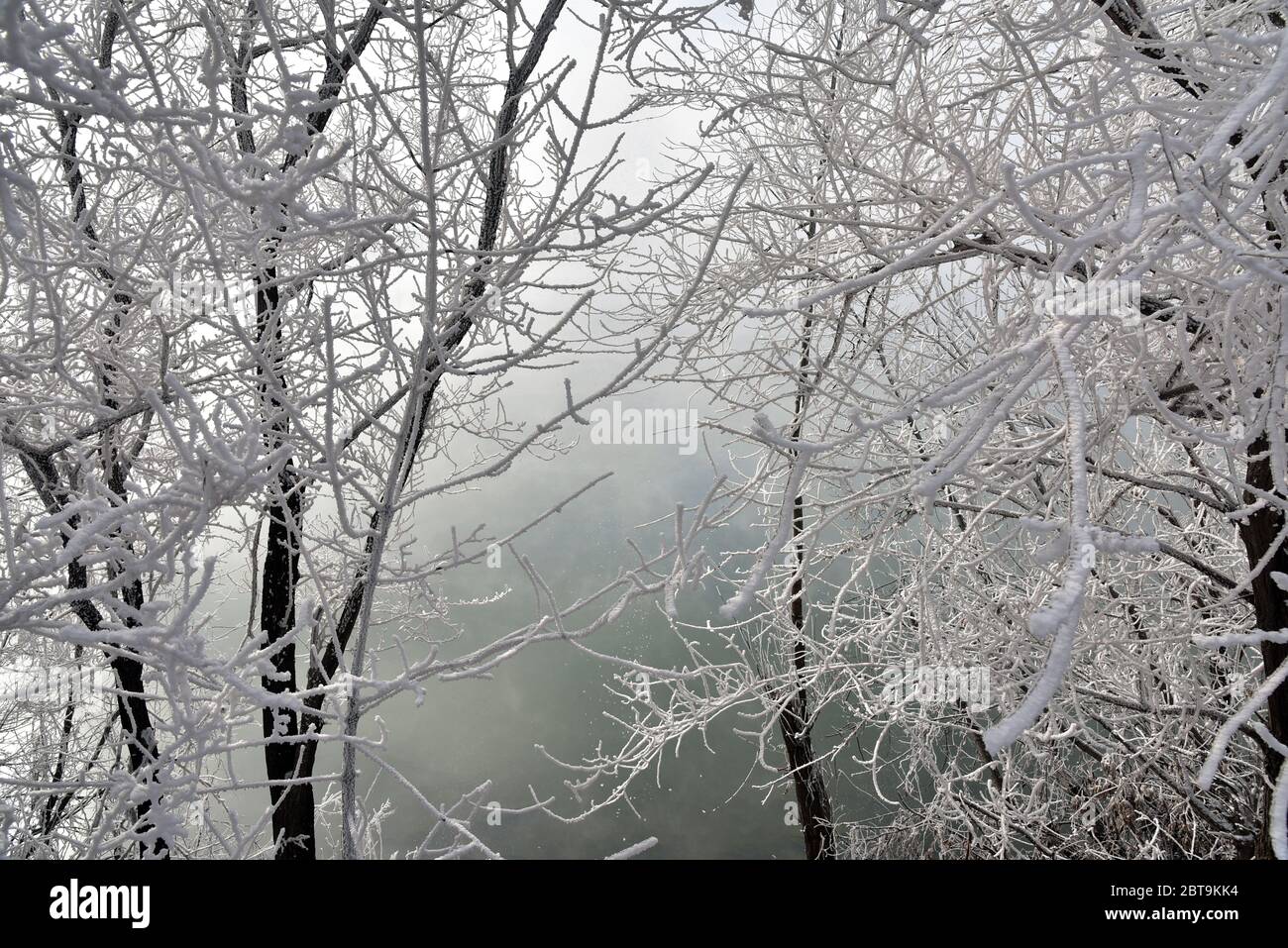 Frozen nature in Yakutia. Yakutia is one of the most coldest place on ...