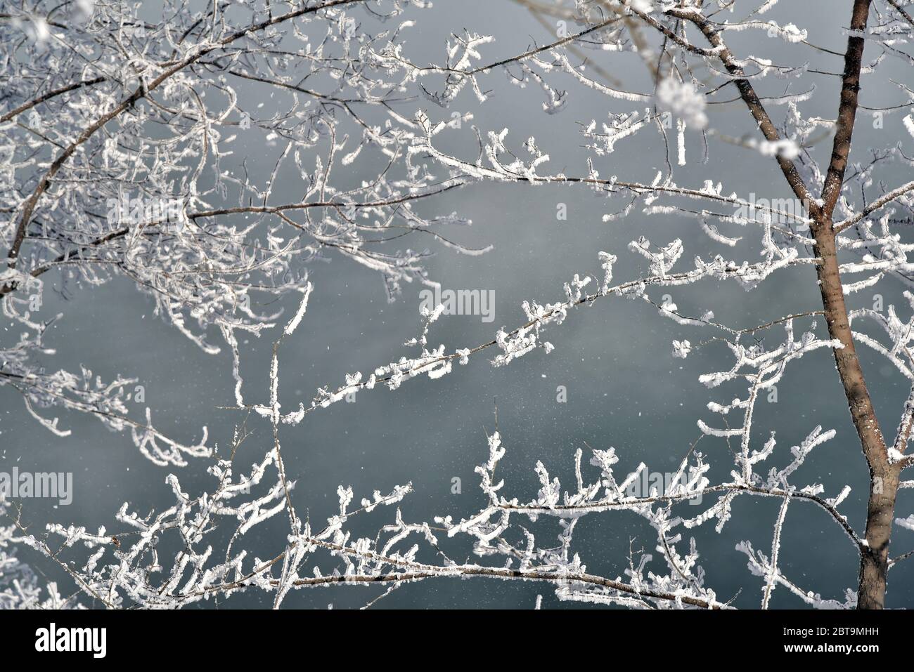Frozen nature in Yakutia. Yakutia is one of the most coldest place on ...