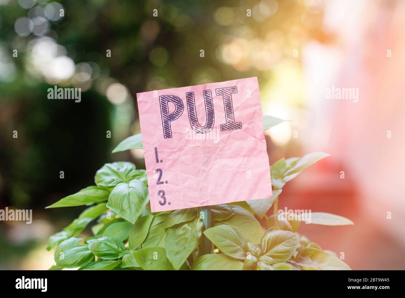 Conceptual hand writing showing Pui. Concept meaning an individual that ...
