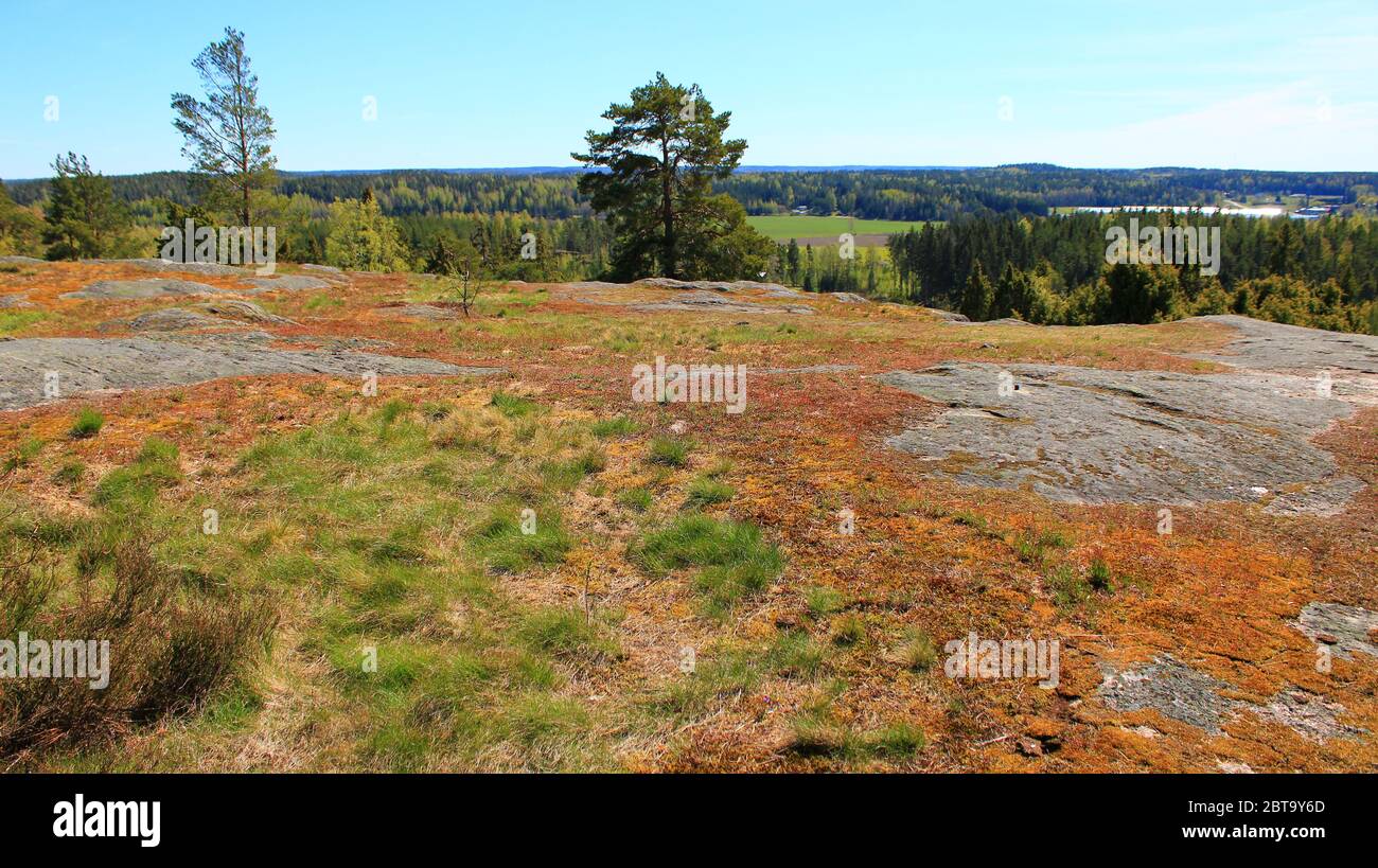 Kaarina hi-res stock photography and images - Alamy