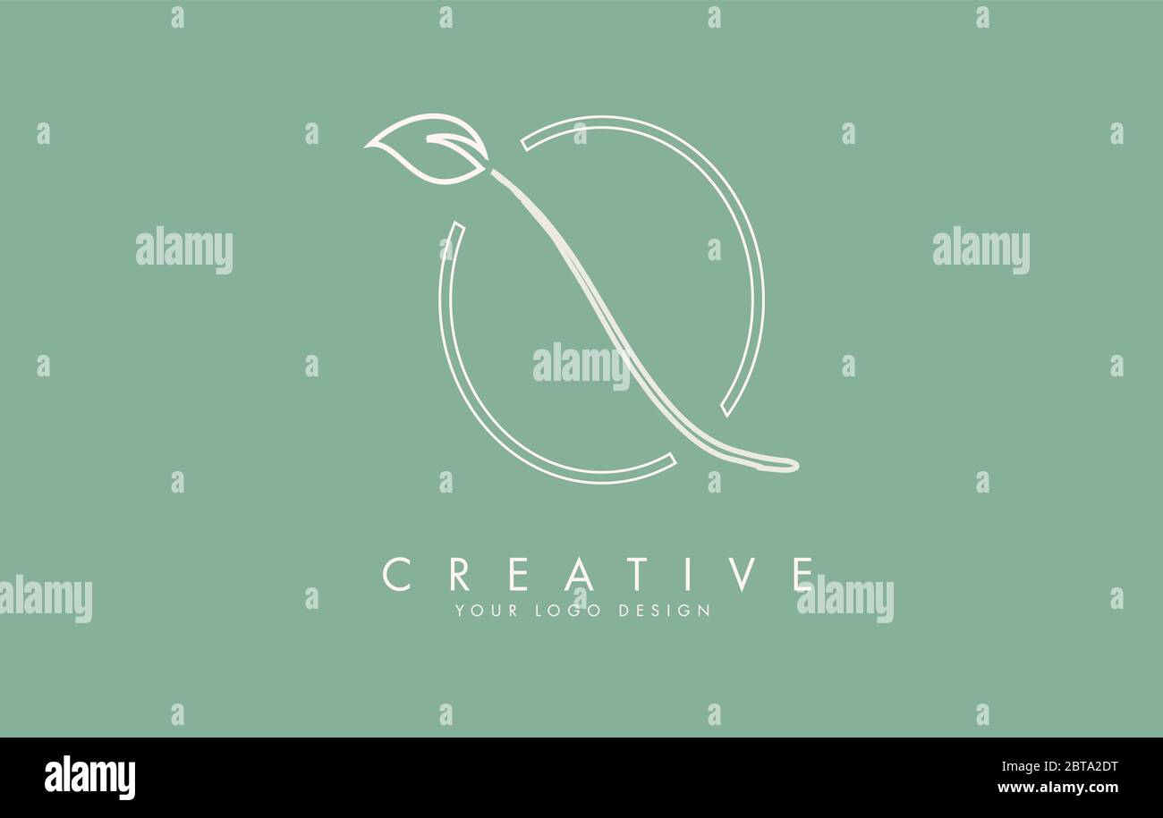 Leaf Cut Q Letter and green background for business. Eco Letter Vector ...